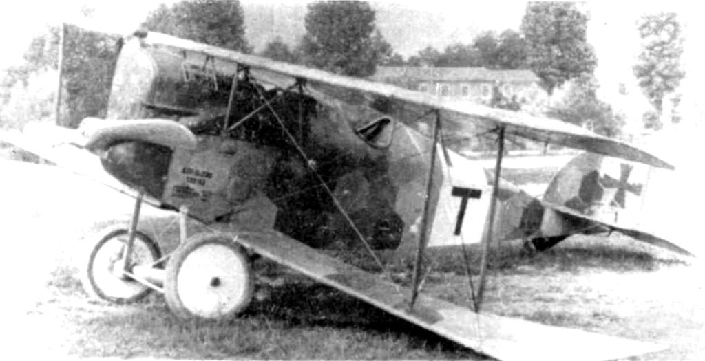 Aviatik (Berg) D.1 paper model (1/64 scale) - Paperdiorama - Donwload ...